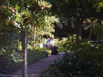 San Luis Obispo Monday Club