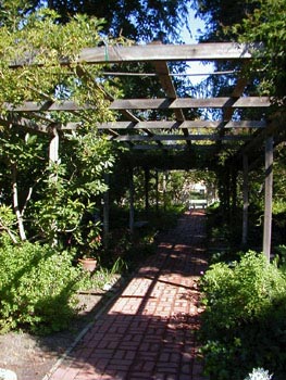 San Luis Obispo Monday Club